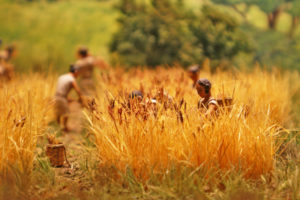 【弥生時代について】わかりやすく解説!!暮らしの特徴や卑弥呼について | 日本史事典.com｜受験生のための日本史ポータルサイト