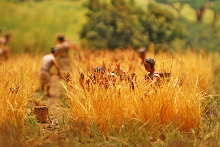 【弥生時代について】わかりやすく解説!!暮らしの特徴や卑弥呼について | 日本史事典.com｜受験生のための日本史ポータルサイト